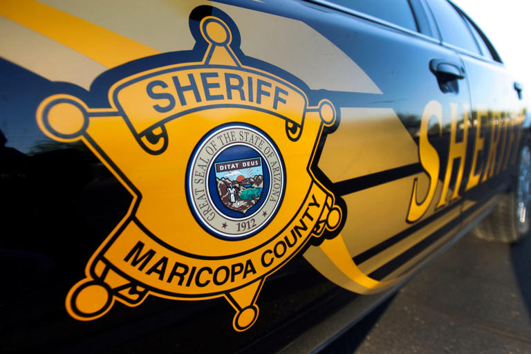 Maricopa County Sheriff's Office has restored mugshot page. Here's what ...