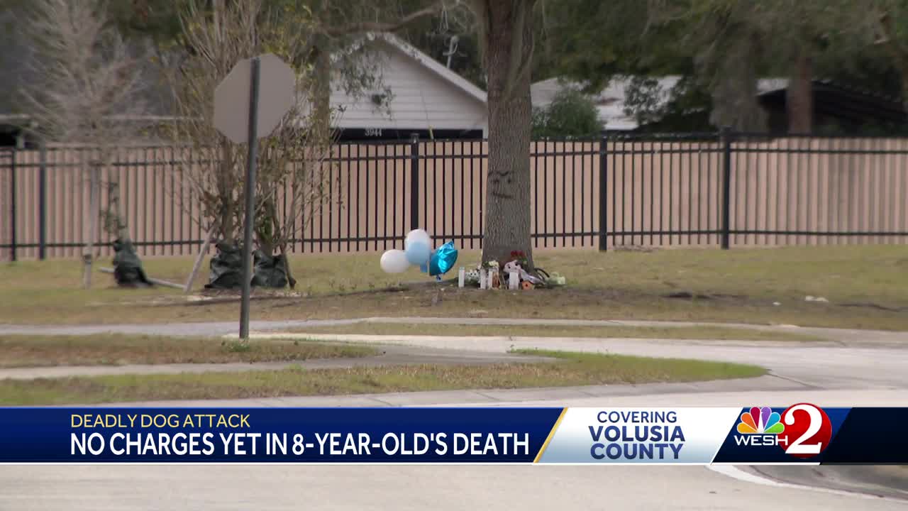 Volusia County dogs that brutally mauled 8-year-old boy to be ...