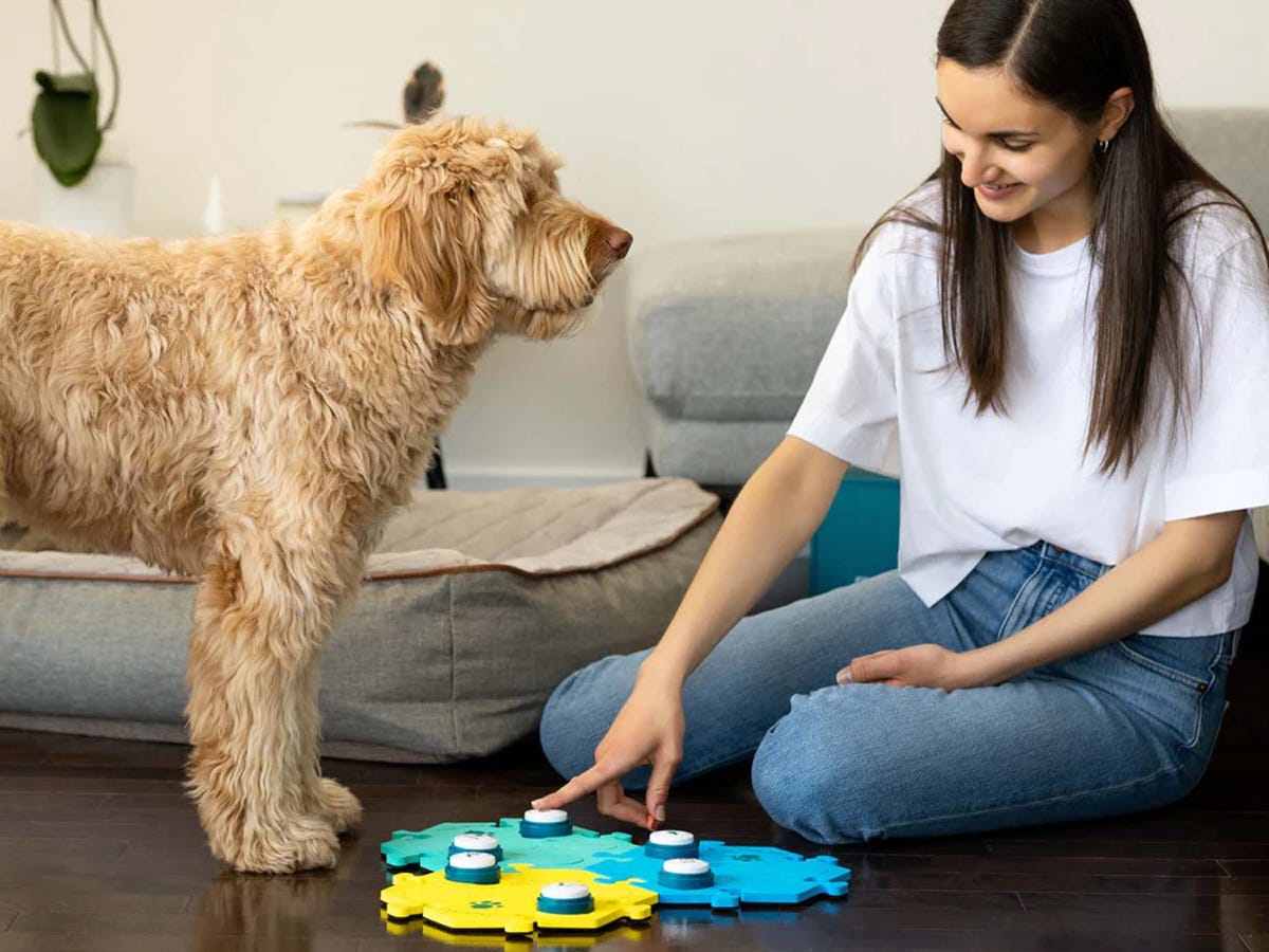 The 4 best dog talking buttons to communicate with your pup