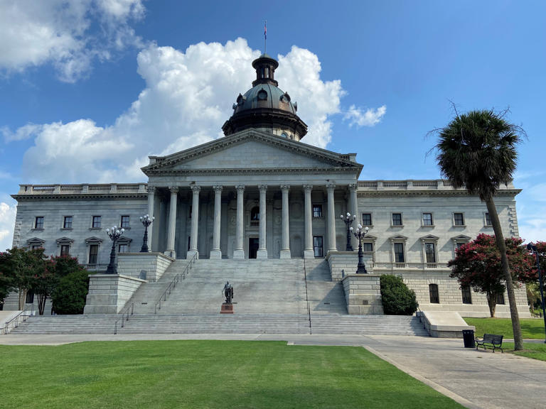 WATCH LIVE: SC Senate debates change to private school voucher program