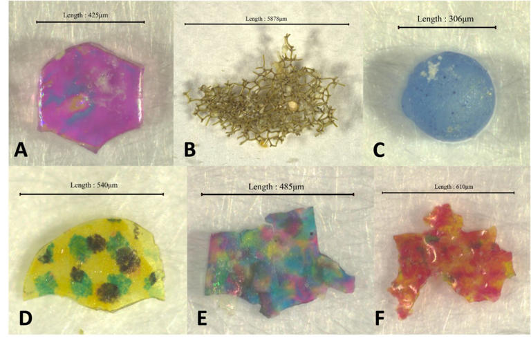 Microplastics contaminate organic waste, raising environmental concerns