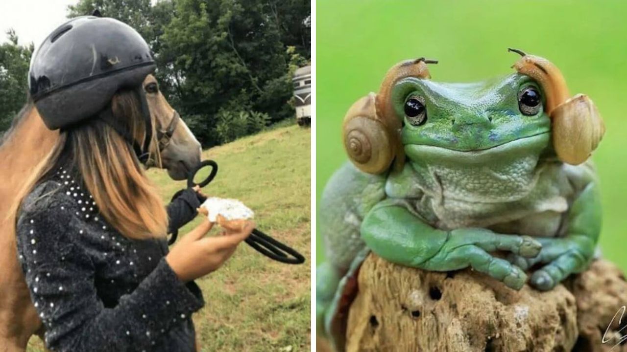 40 of the Weirdest Photos You've Ever Laid Eyes On