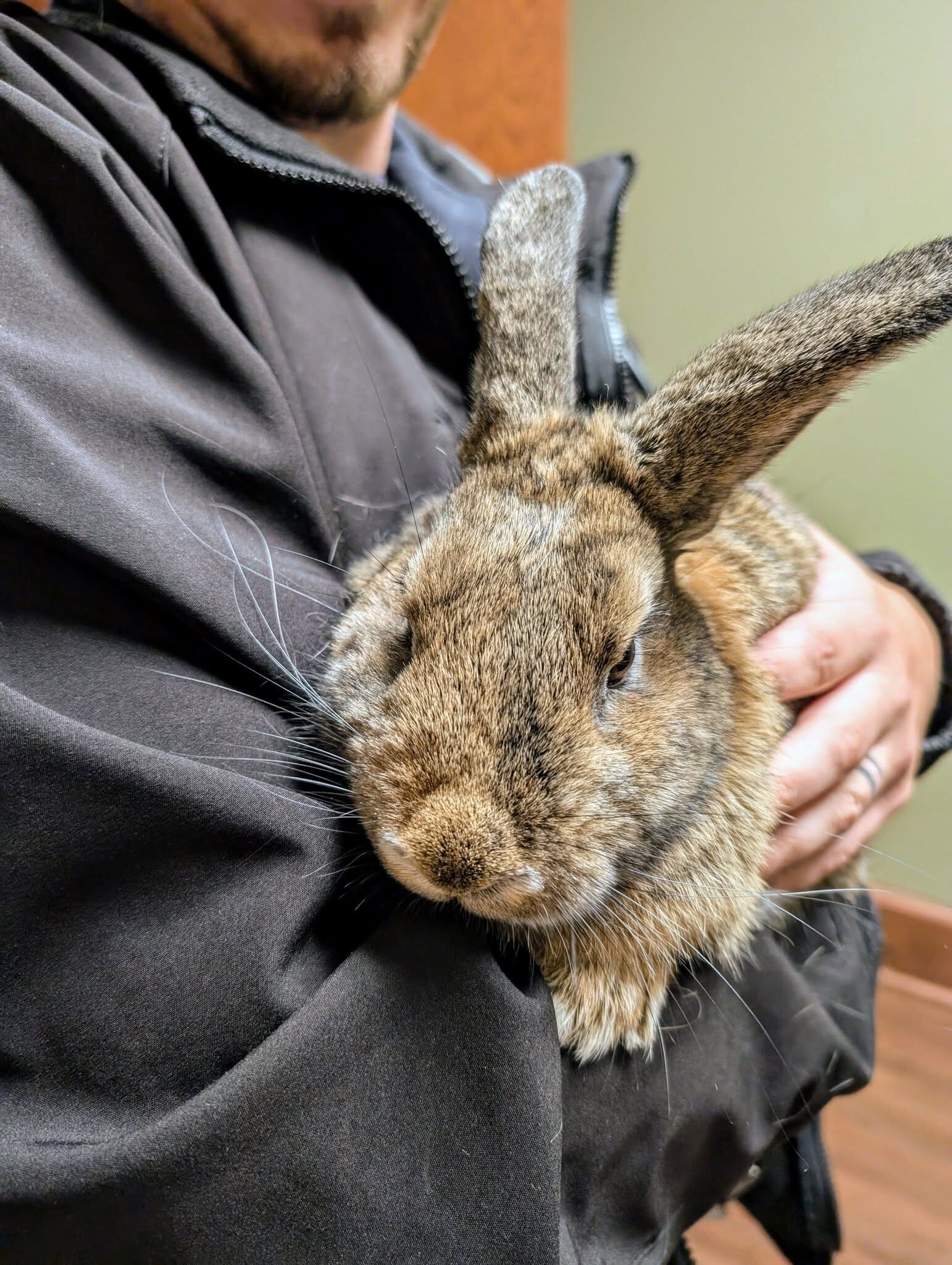 Furry friend joins Pooler PD for the day