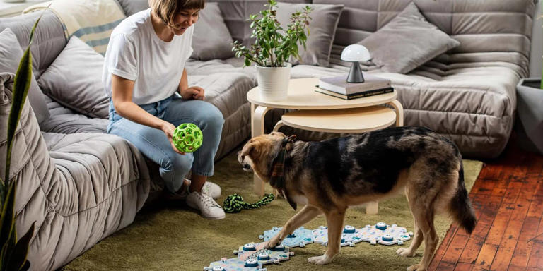 The 4 best dog talking buttons to communicate with your pup