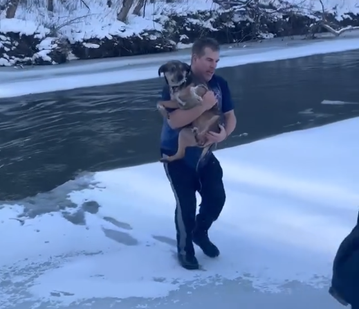 'Forever my hero': Viral video shows Vermont man rescuing dog from icy ...