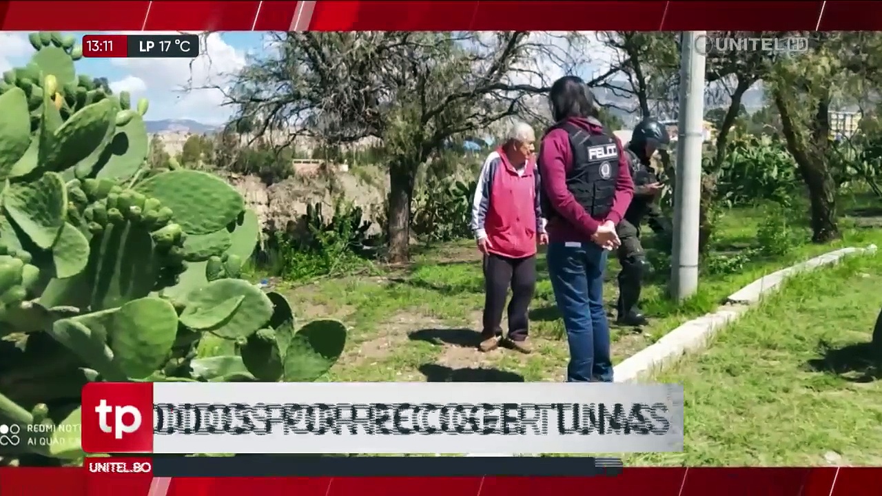 Felcc comienza investigaciones