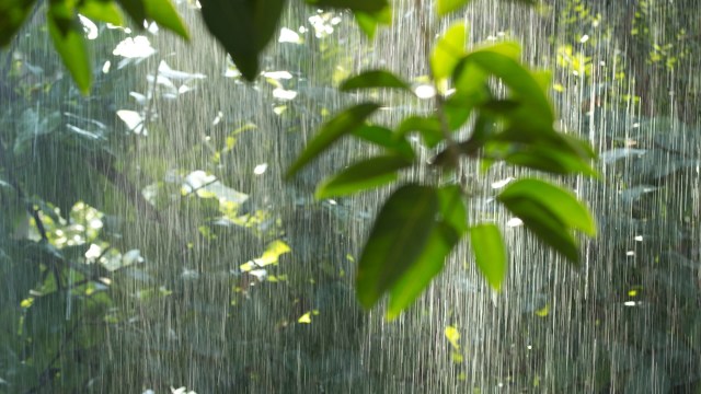 Scientists puzzled by unexpected discovery while analyzing heavy ...