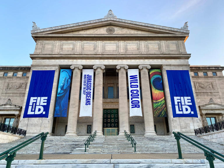 Chicago free museum days winter 2025: Field Museum, Art Institute, Shedd and more