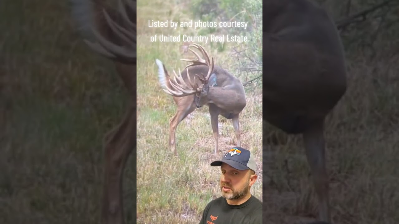 Inside a $9.95M Louisiana Ranch With Record Deer Herds