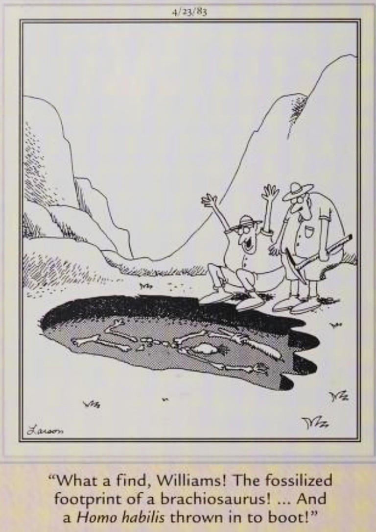 At A Loss For Words To Describe The Far Side? Here's 8 Classic ...