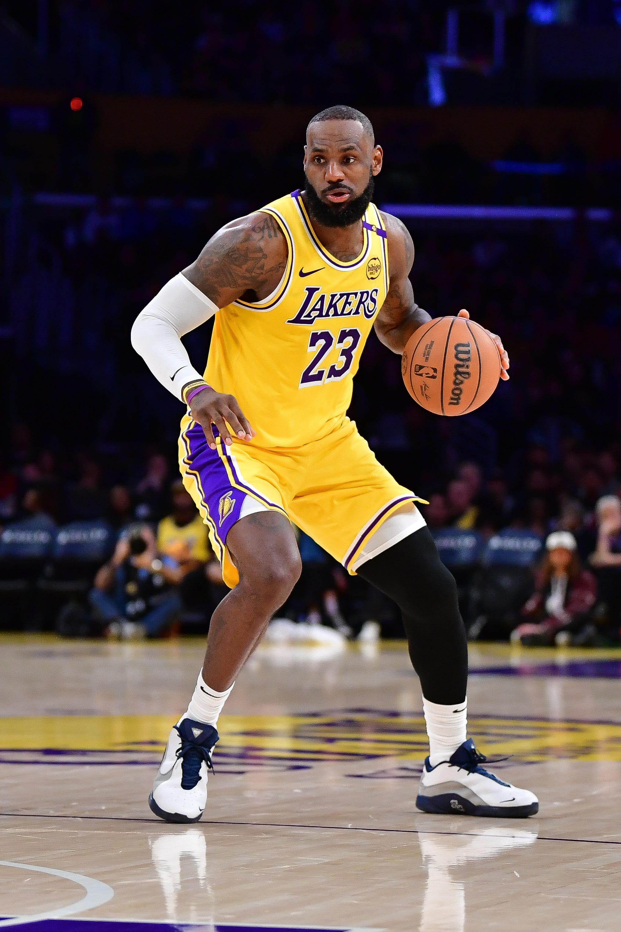 LeBron James gave a young girl the thrill of her lifetime on Wednesday