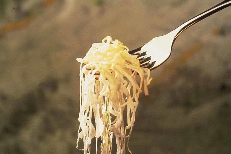 Qué es el chucrut y cómo puedes prepararlo en casa