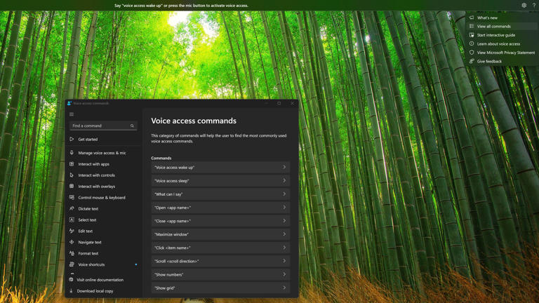 How to use Windows 11 Voice Access: Tell your PC what to do