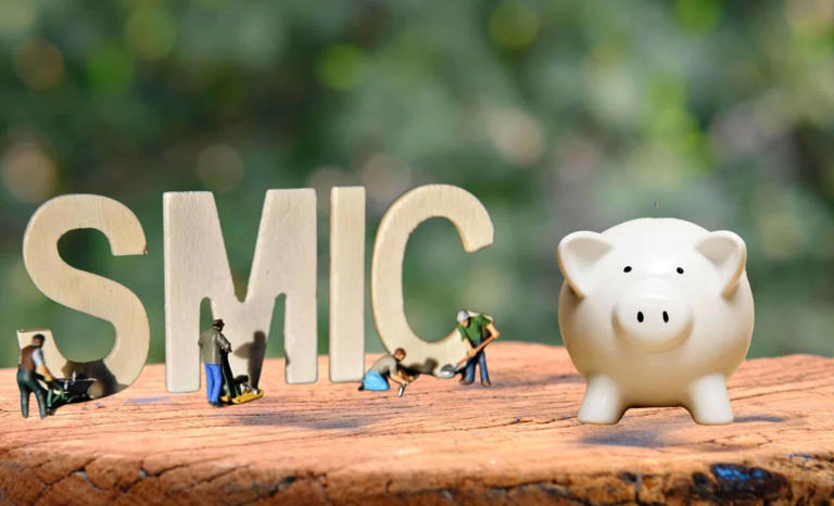 Smic : voici les nouveaux montants en net et en brut en 2025