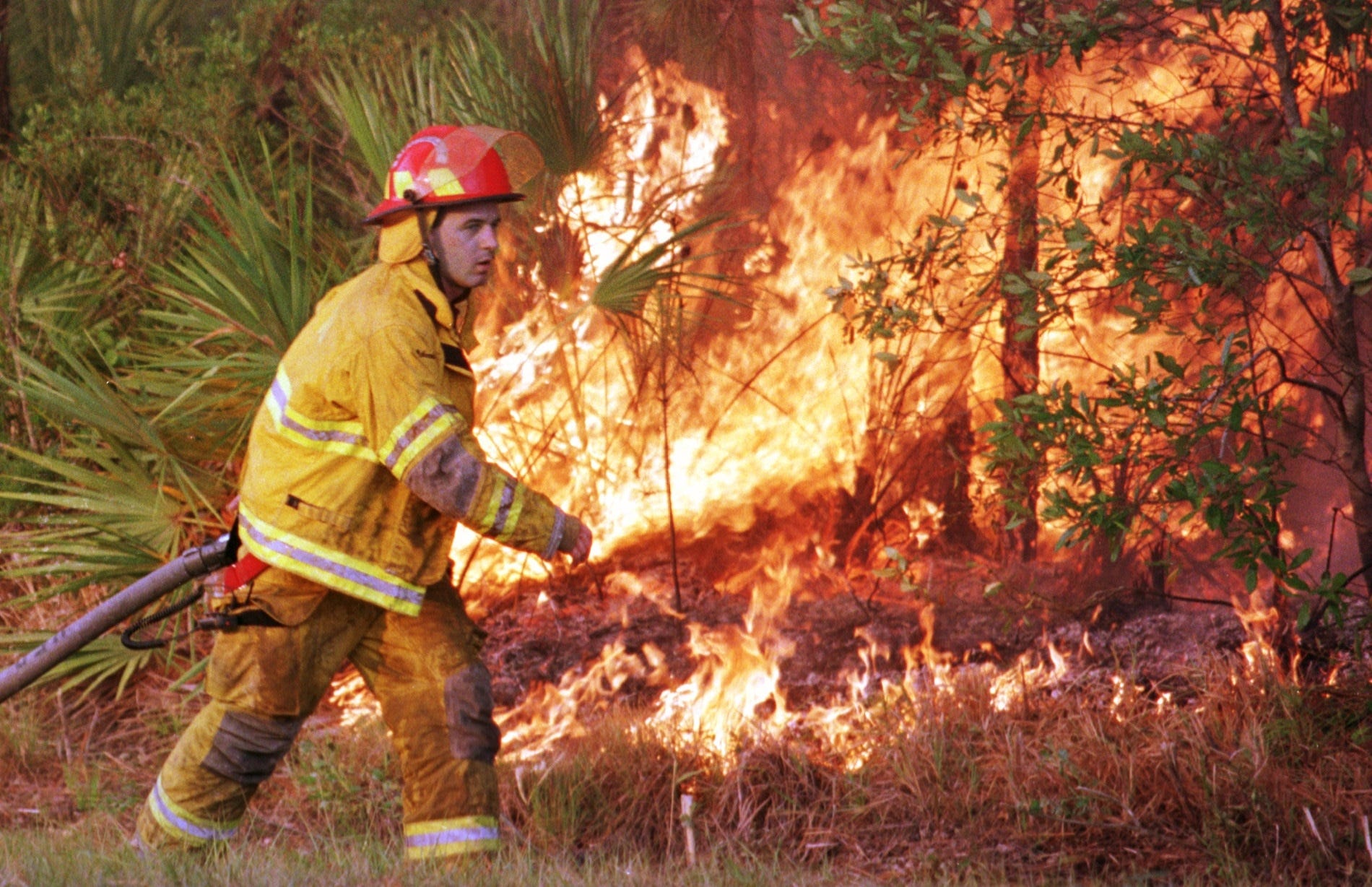How Flagler-Volusia use prescribed burns to help prevent wildfires like ...