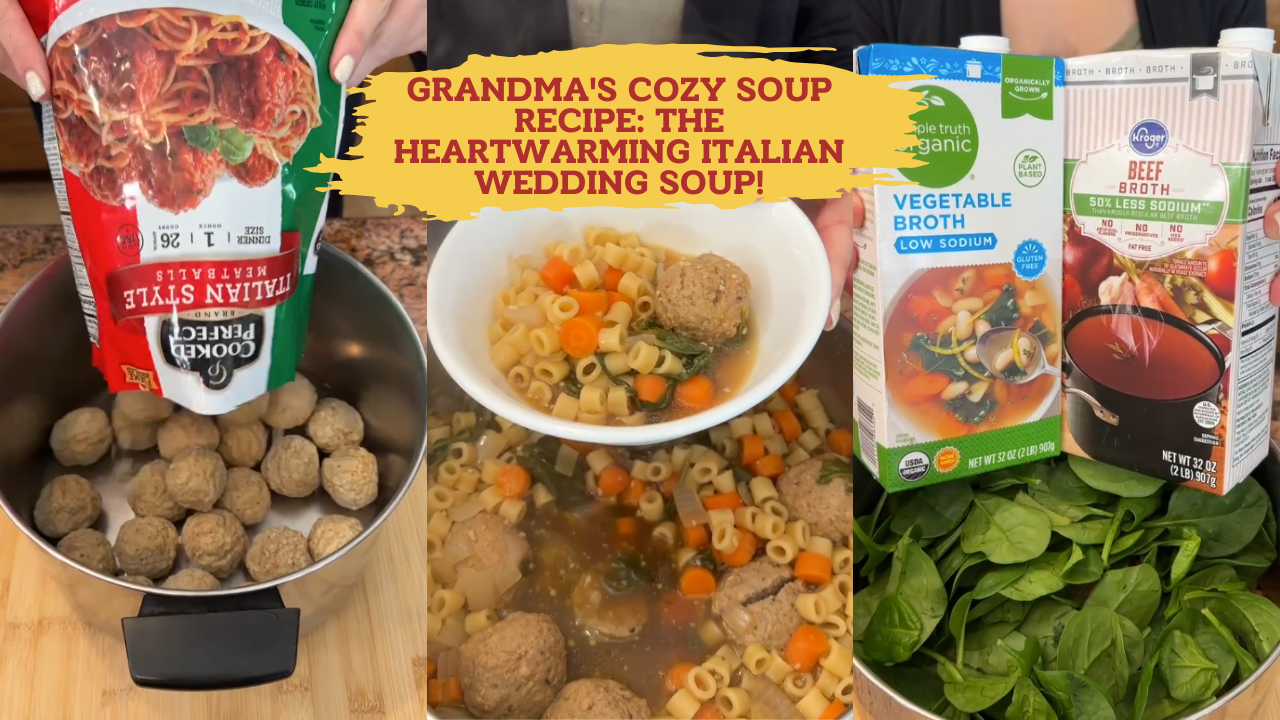 Life with Coco - MSN