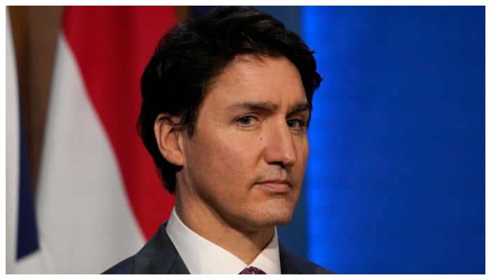 Canadian PM Justin Trudeau announces he won't contest 2025 election ... Canadian PM Justin Trudeau announces he won't contest 2025 election ...