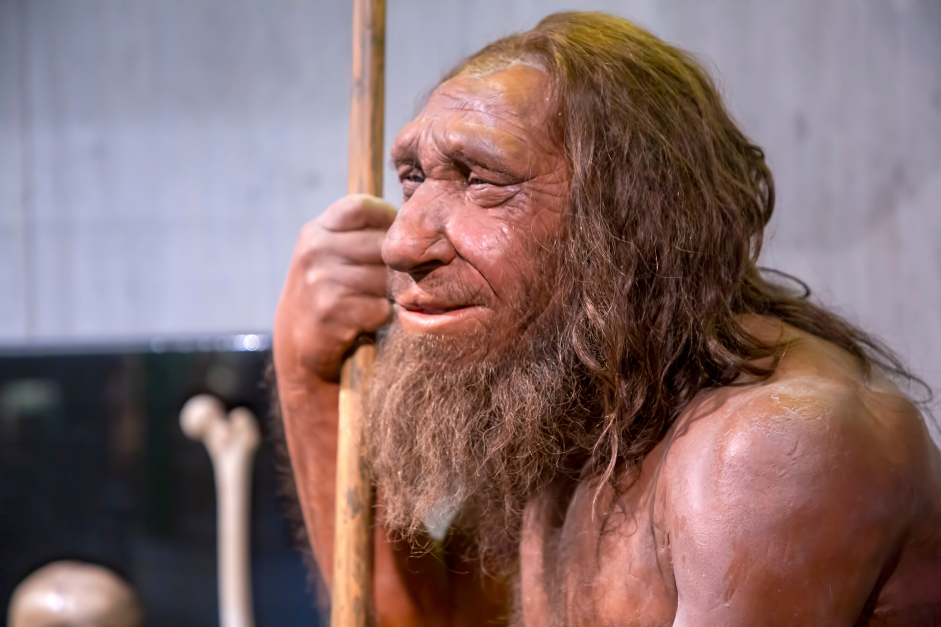 What was the Neanderthal diet like?