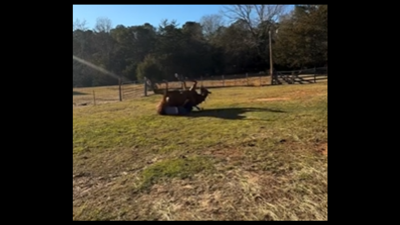 Woman Luckily Escapes Every Horse Rider’s Nightmare! Deadly Riding ...