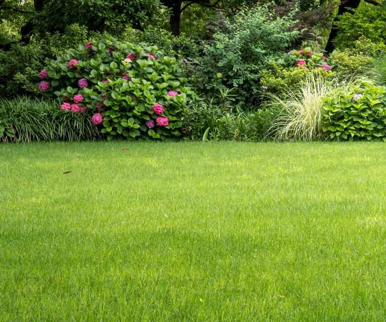 Why is my lawn yellowing in winter? A turf expert reveals the causes ...