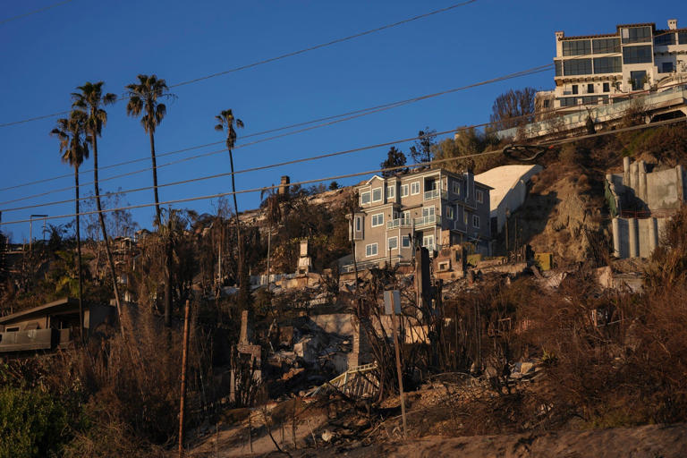 Toxic fallout from LA fires will damage both land and sea