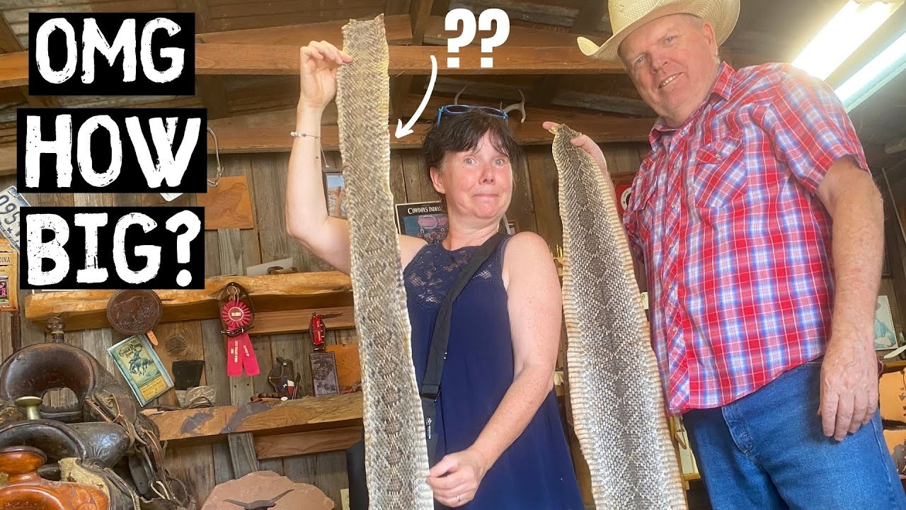 USA VAN LIFE - Get to know the real TEXAS