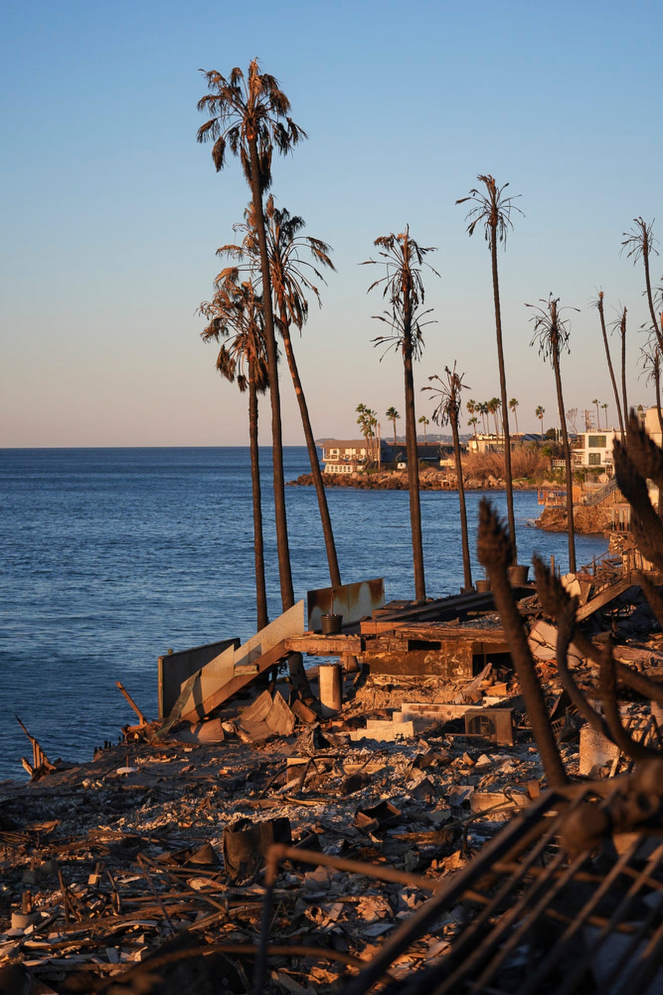 Toxic fallout from LA fires will damage both land and sea