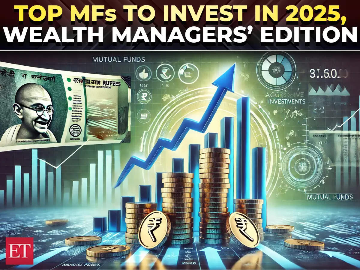 Want to Play Aggressively? Top MFs to Invest in 2025