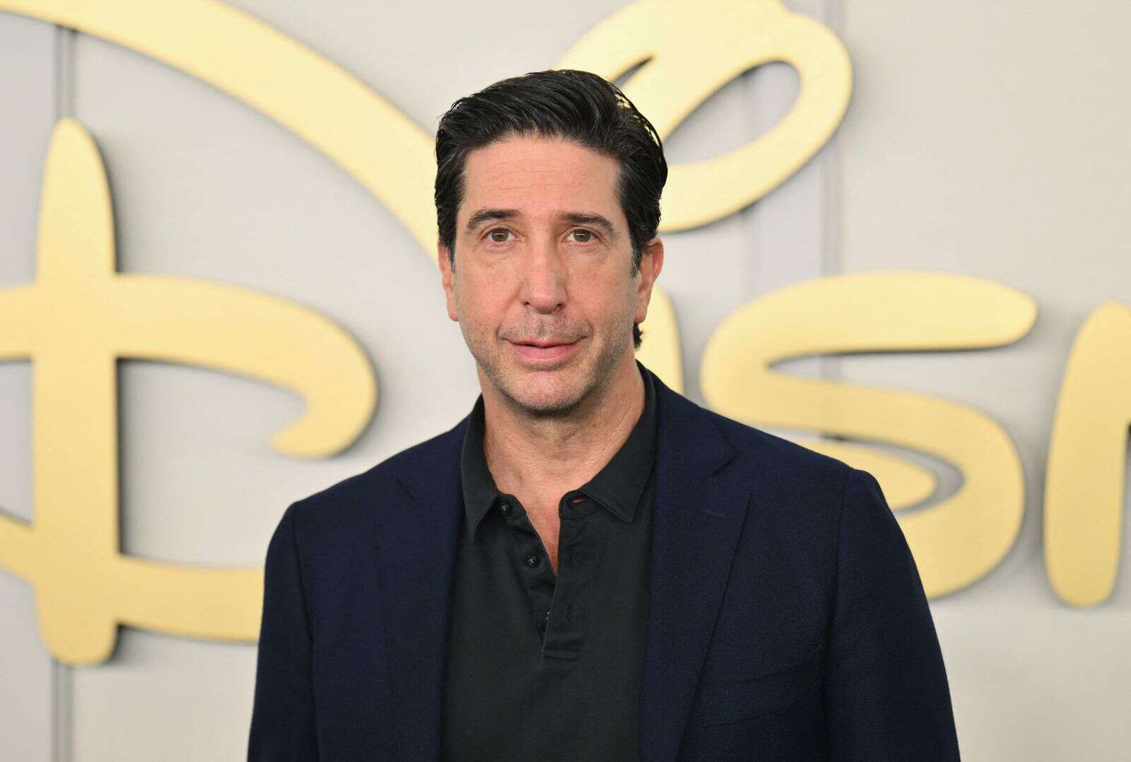 David Schwimmer recalls serving divorce papers to singer Rod Stewart David Schwimmer recalls serving divorce papers to singer Rod Stewart