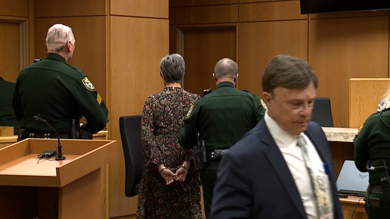 Florida grandmother who left infant in hot car found not guilty of ...