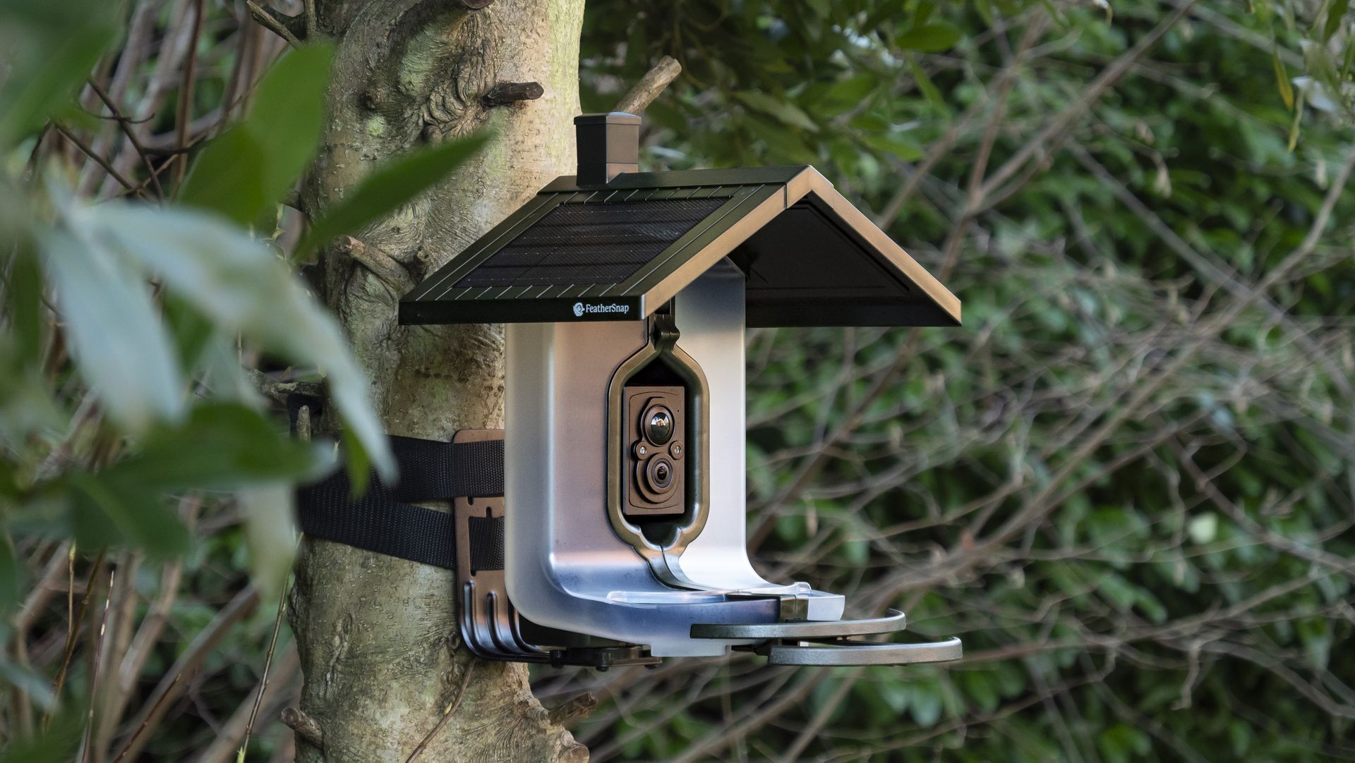 FeatherSnap Scout bird feeder camera review: superb design and ...