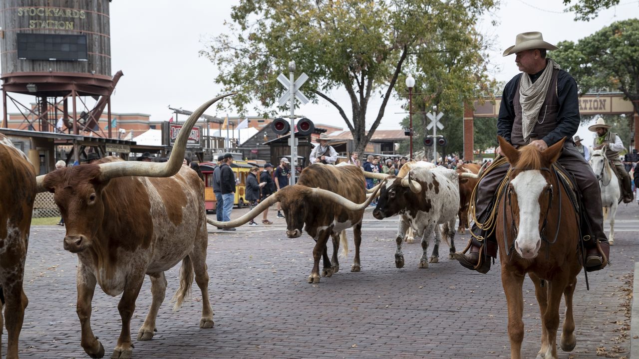 What you need to know about the 2025 Fort Worth Stock Show & Rodeo