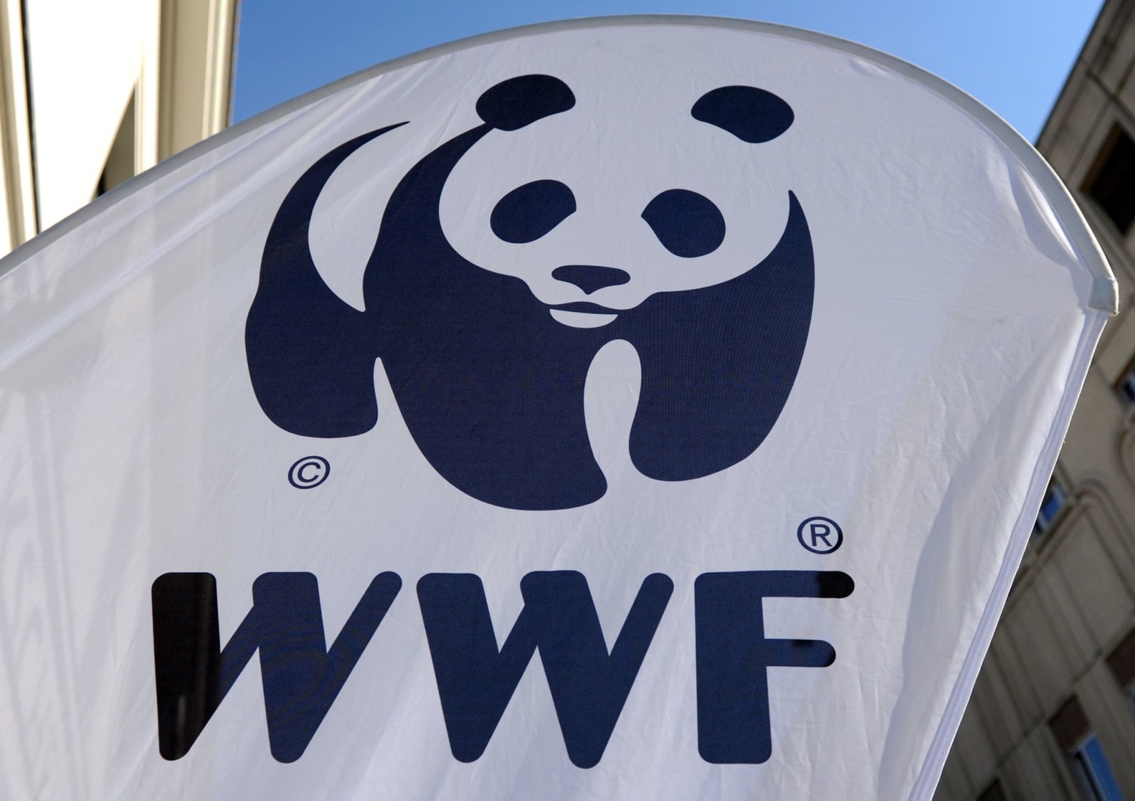 Germany funds effort to tackle environmental crime with Interpol, WWF