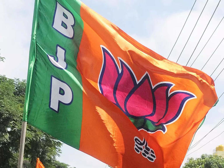 BJP announces 9 more candidates for Delhi Elections, allocates two ...