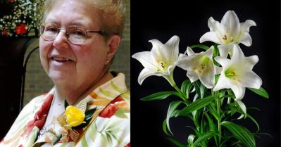 Sister Mary Frances Willcoxson, O.P., devoted educator, dies at 80