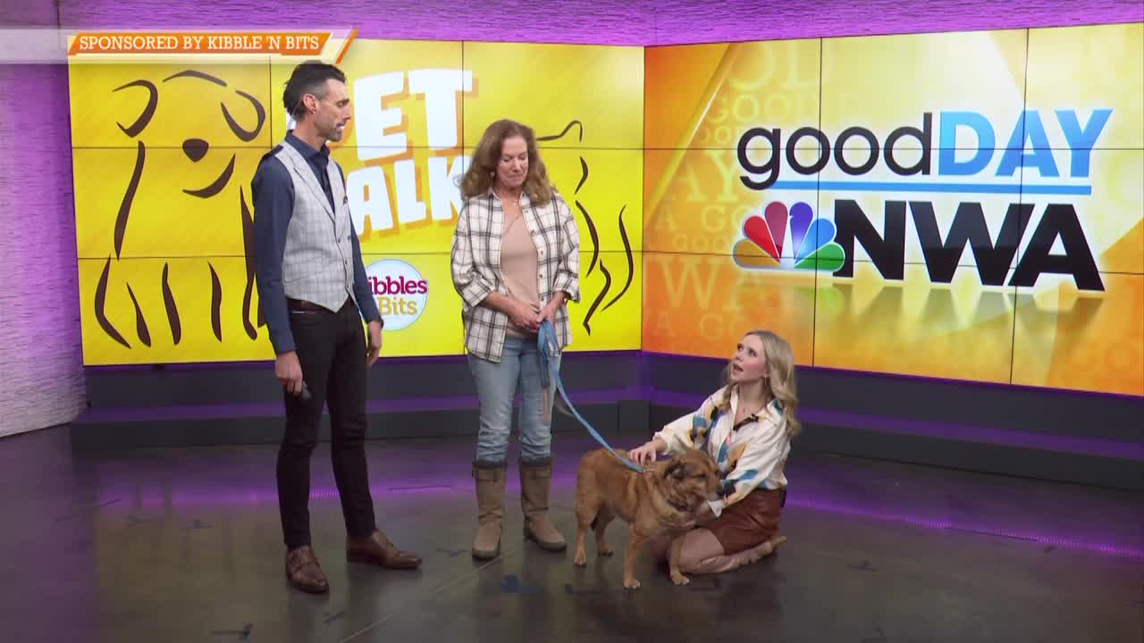 Transform Your Dog's Behavior with These Commands