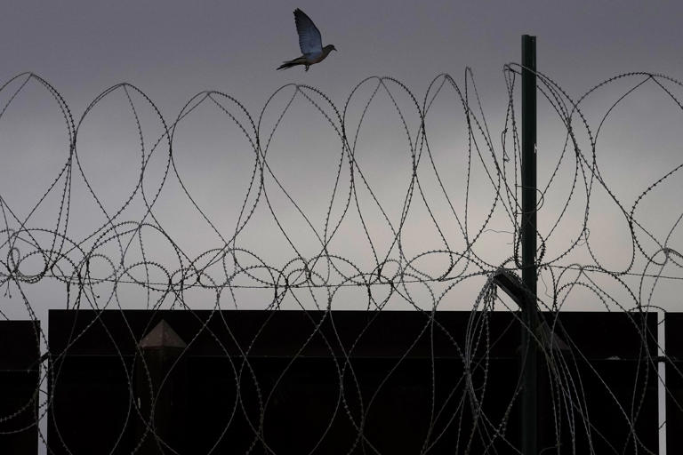 500 active-duty soldiers from the 10th Mountain Division to deploy in ...