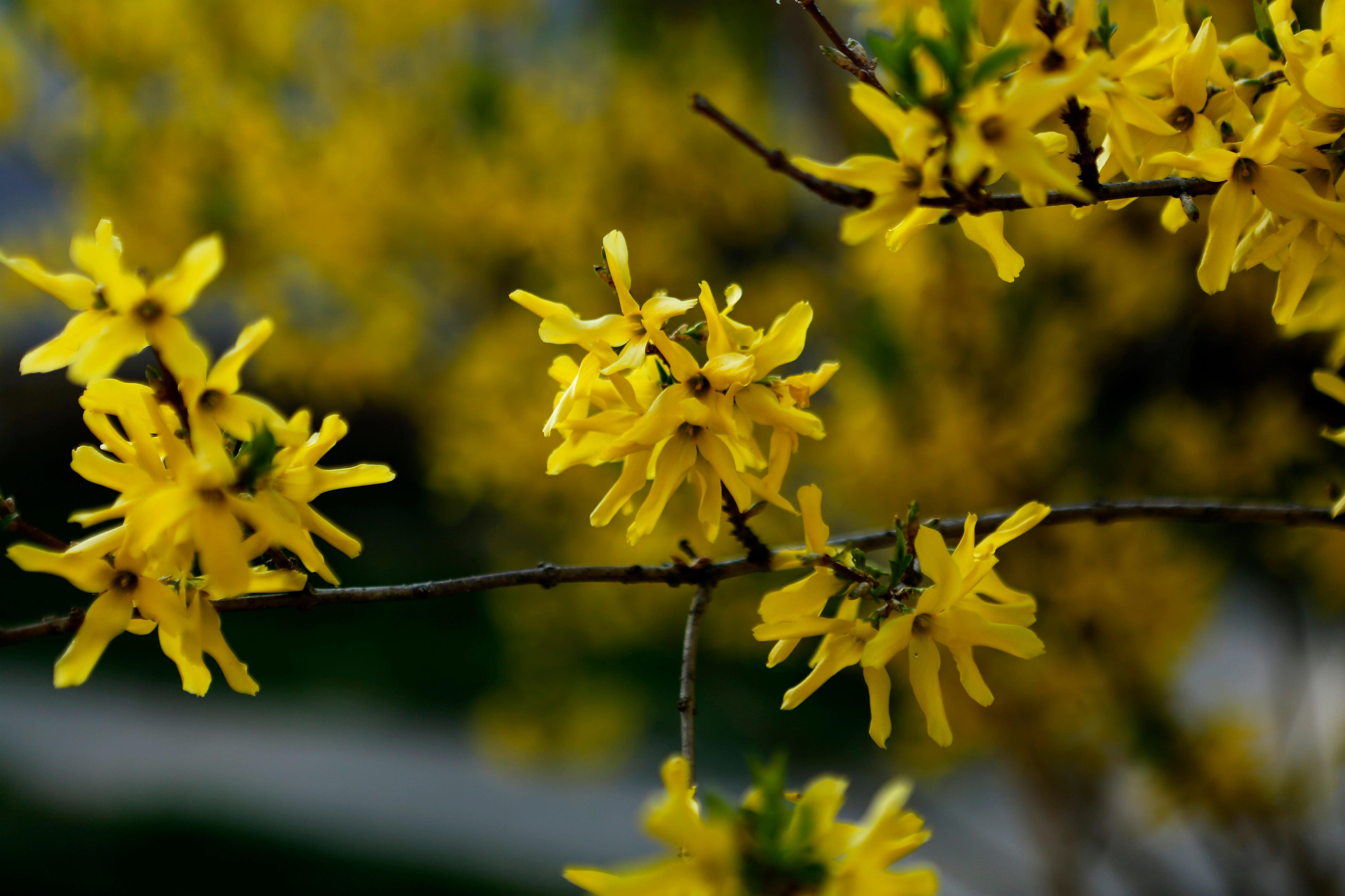 How many days until spring 2025? Cold, snow, wind has many Ohioans ...