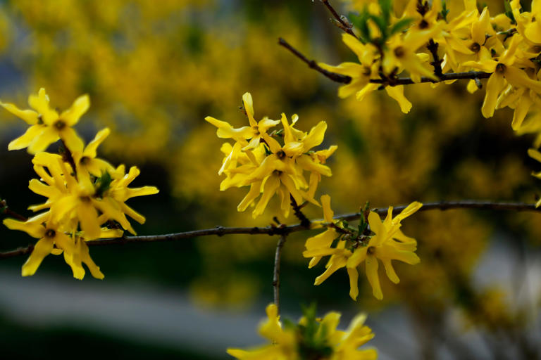 How many days until spring 2025? Cold, snow, wind has many Ohioans ...