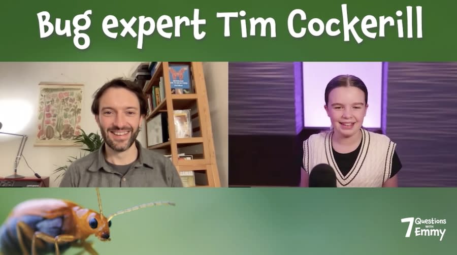 Bug expert Tim Cockerill talks insects, ‘A Real Bug’s Life’ and more in ...