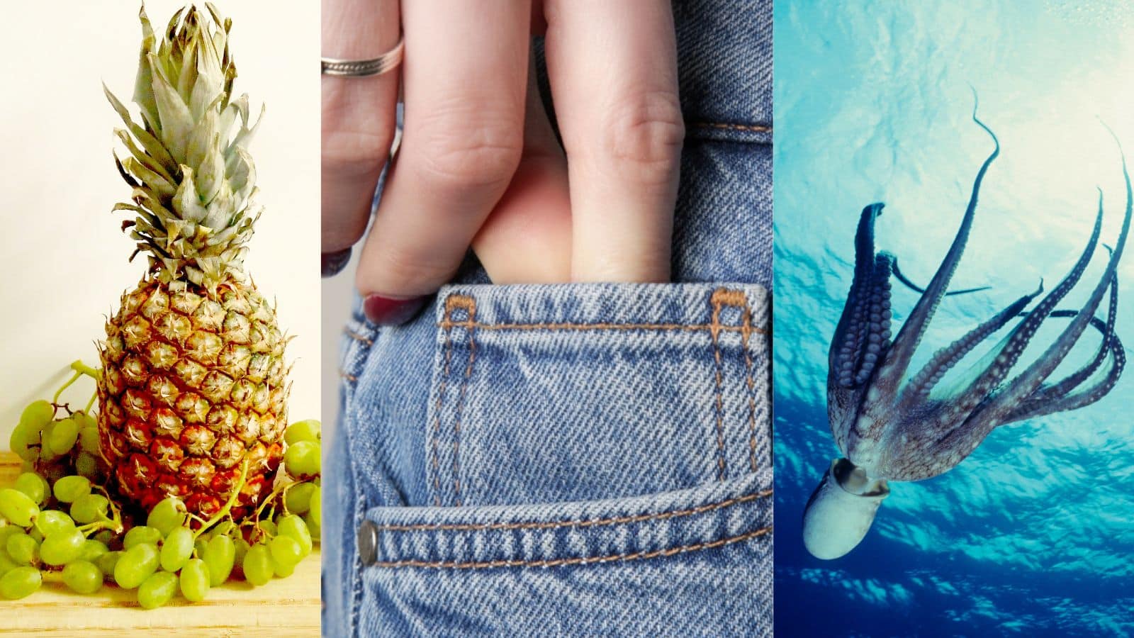 16 Unexpected Facts About Everyday Things That Will Amaze You