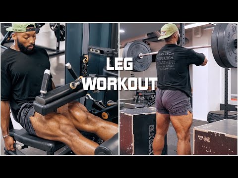 THE PERFECT LEG WORKOUT TO BUILD BIG STRONG LEGS | Beginners & Advanced ...