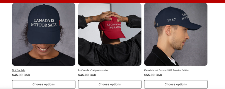 La casquette de Doug Ford «Canada is not for sale» fait réagir et voici ...