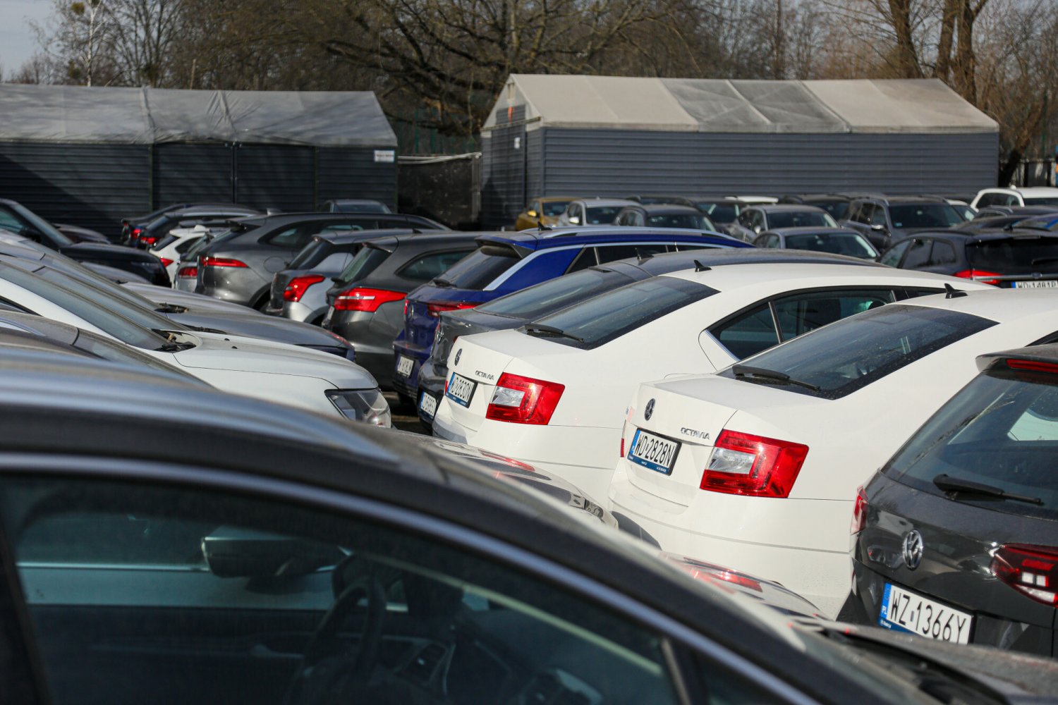 Tak rozpoznasz, że auto jest w leasingu. Naklejki i specjalne znaki to ...