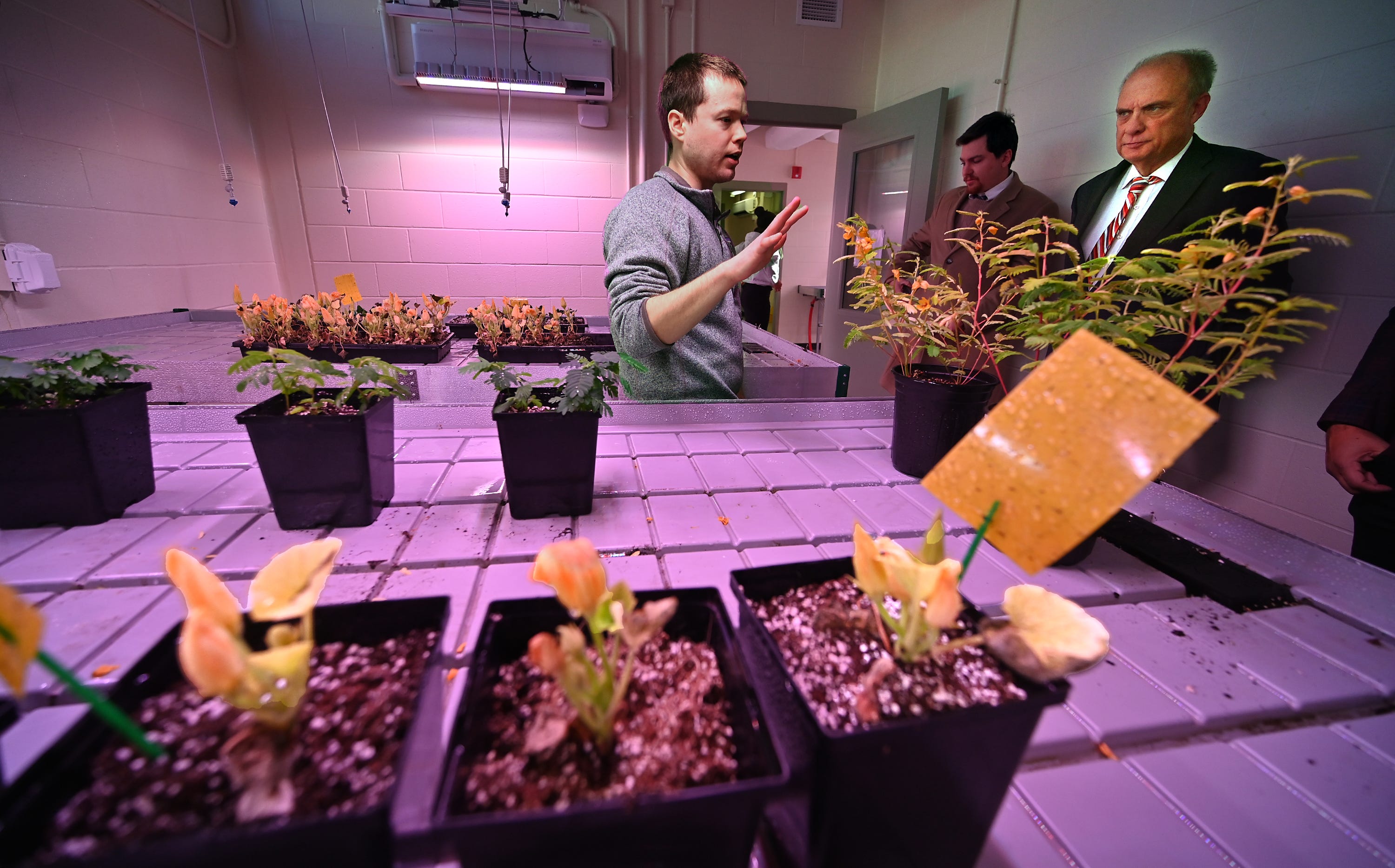 Clark's new greenhouse provides expanded opportunity to study climate ...