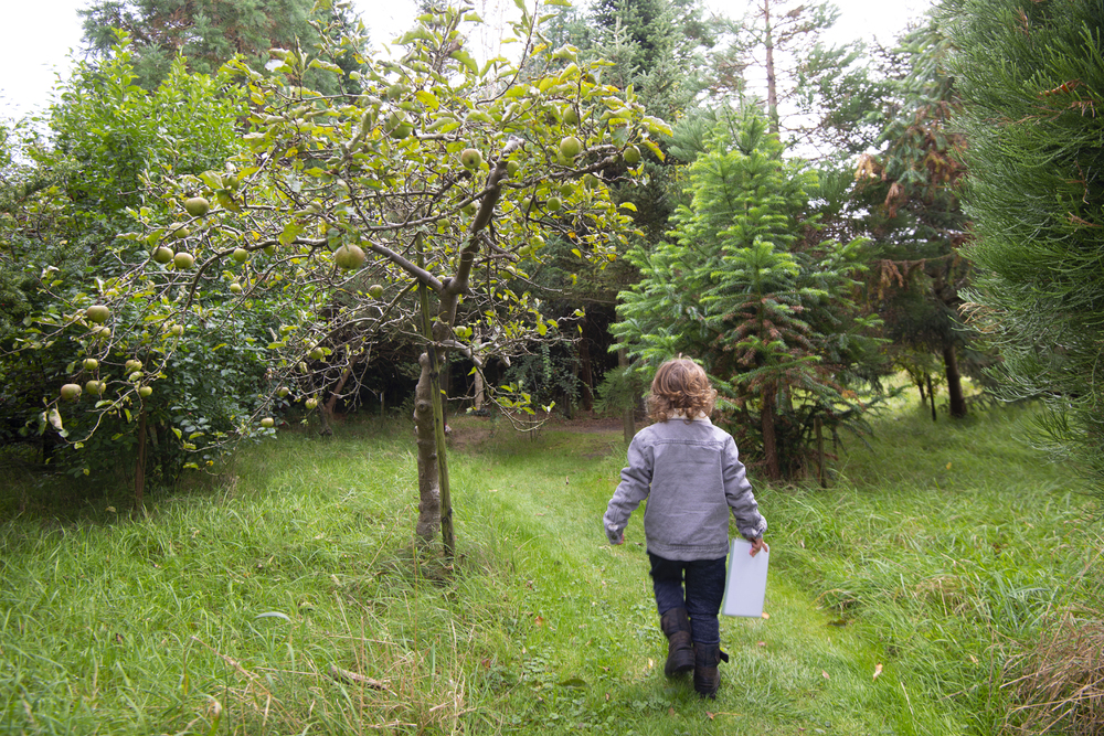 Old school parenting tips that are still genius