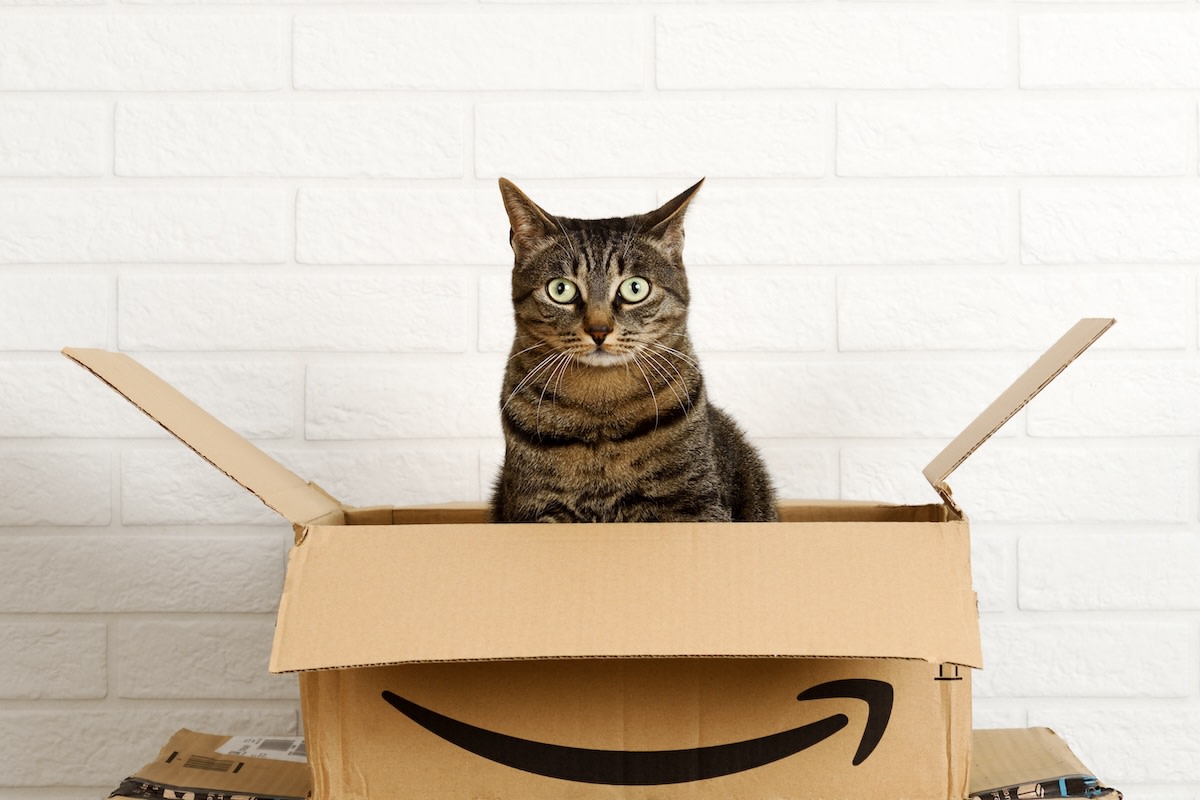 Amazon Has a Massive Best-Selling Cat Tree for Over $50 Off & Everyone ...