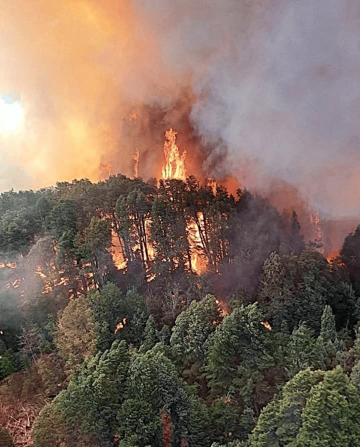 Evacuan 200 viviendas por incendio en la Patagonia: Argentina