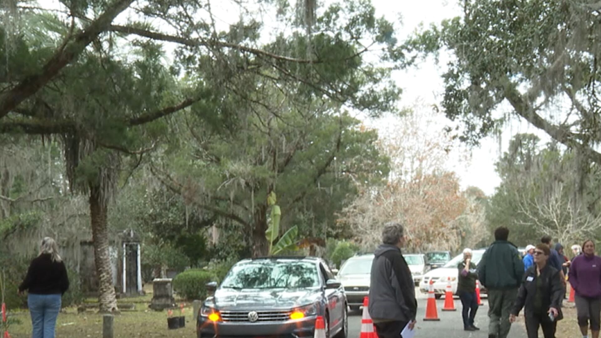 Gainesville gives away free trees for Florida Arbor Day celebration