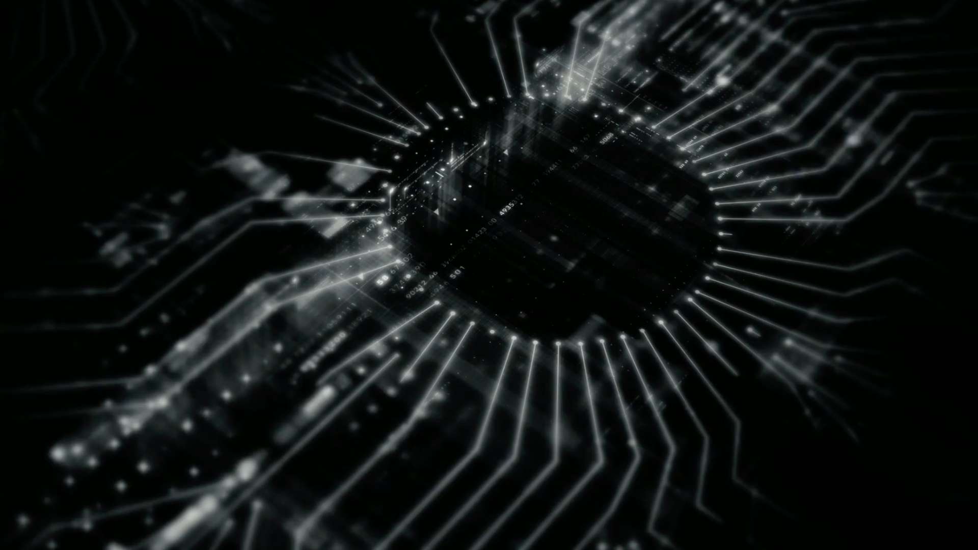 XRP Hits 7-Year High Above $3 Amidst Record Accumulation by Large Holders